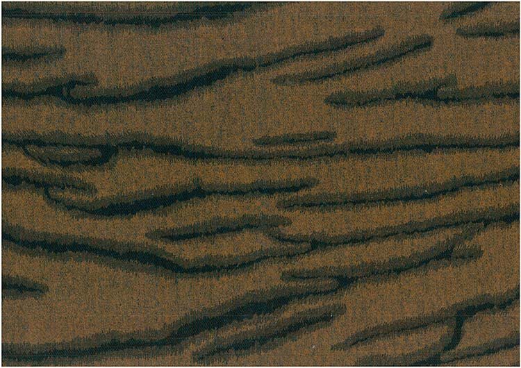 C. D Tiger